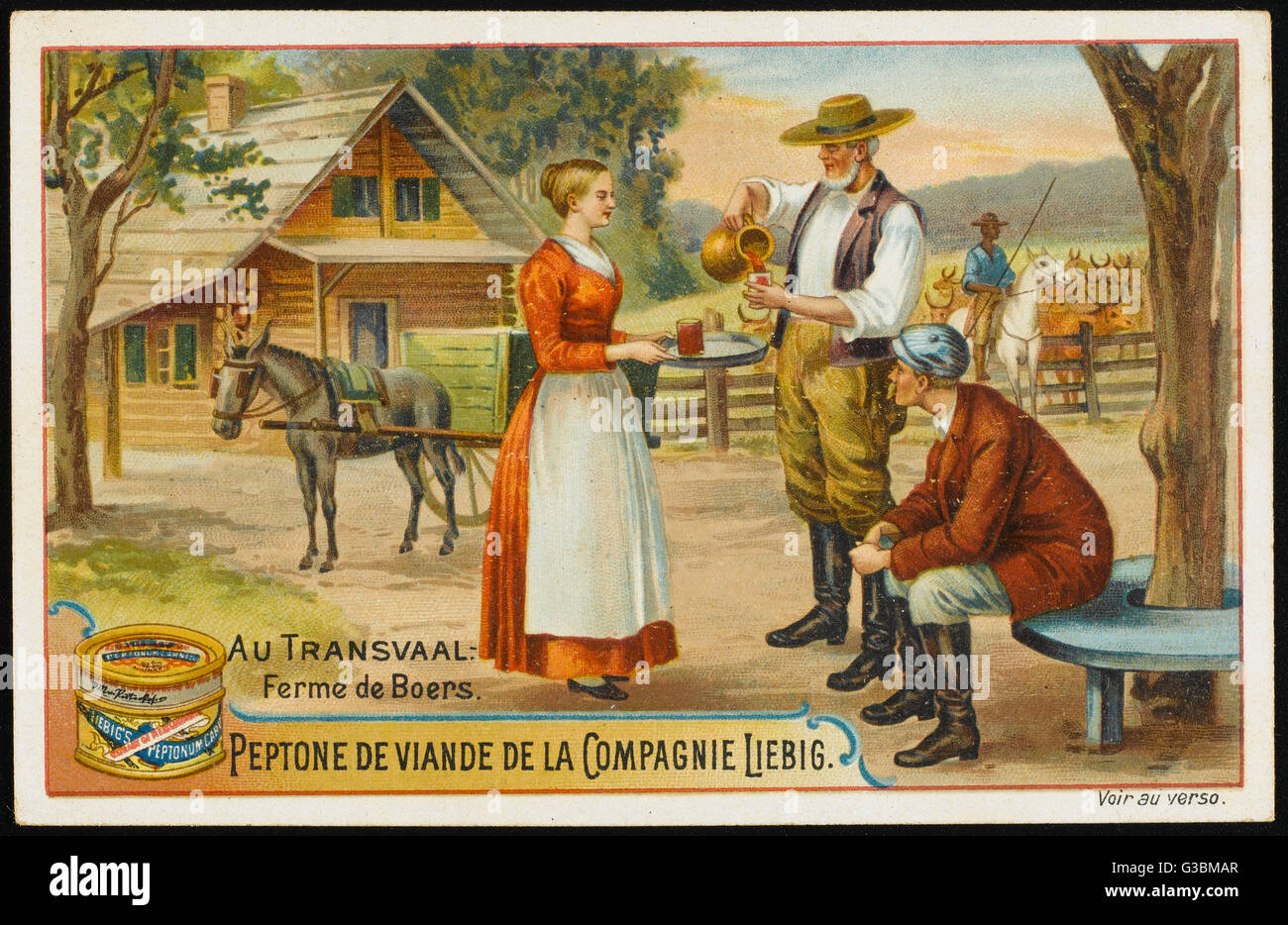 Boer farm in south africa hi-res stock photography and images - Alamy