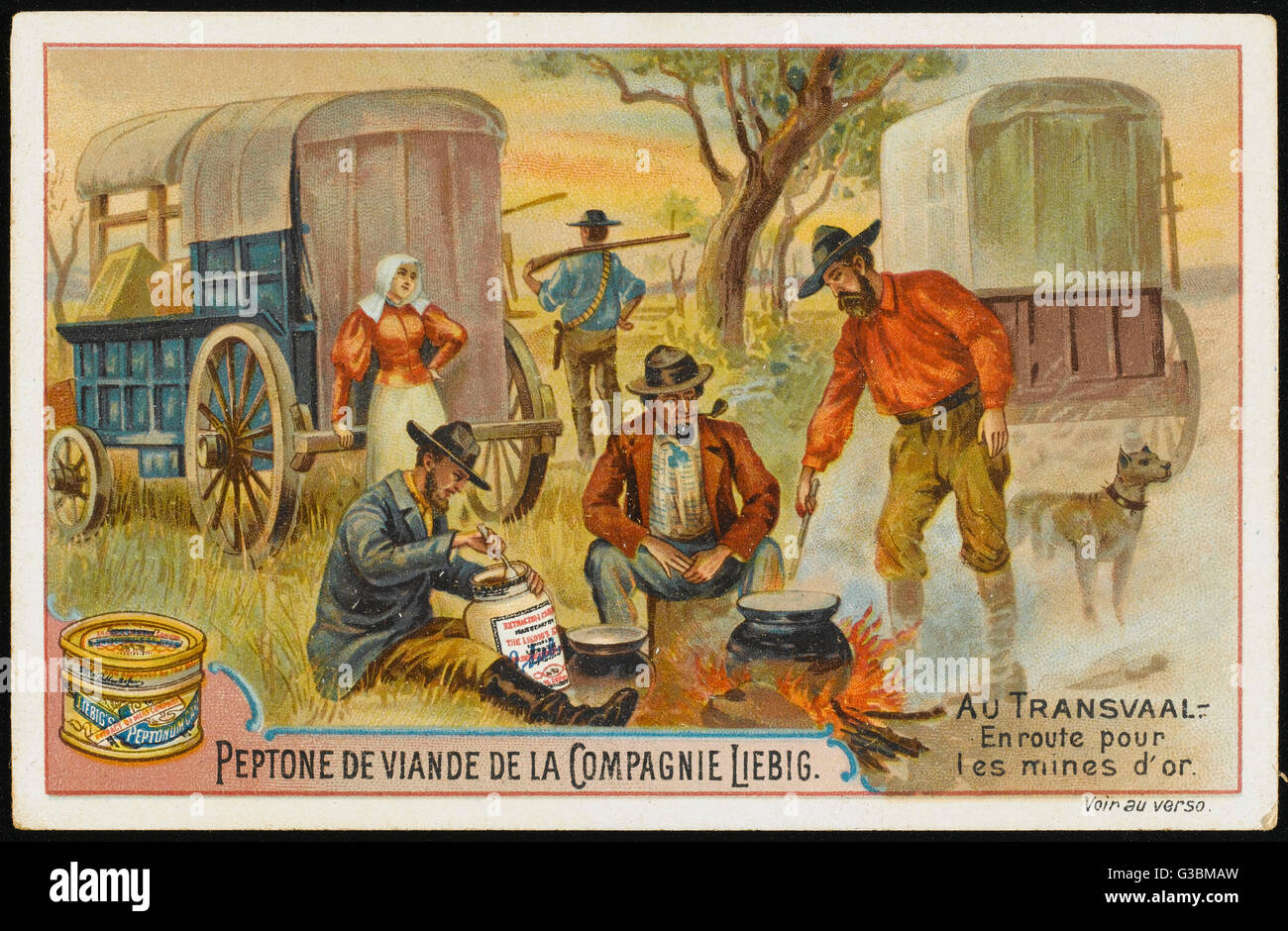 Transvaal hi-res stock photography and images - Alamy