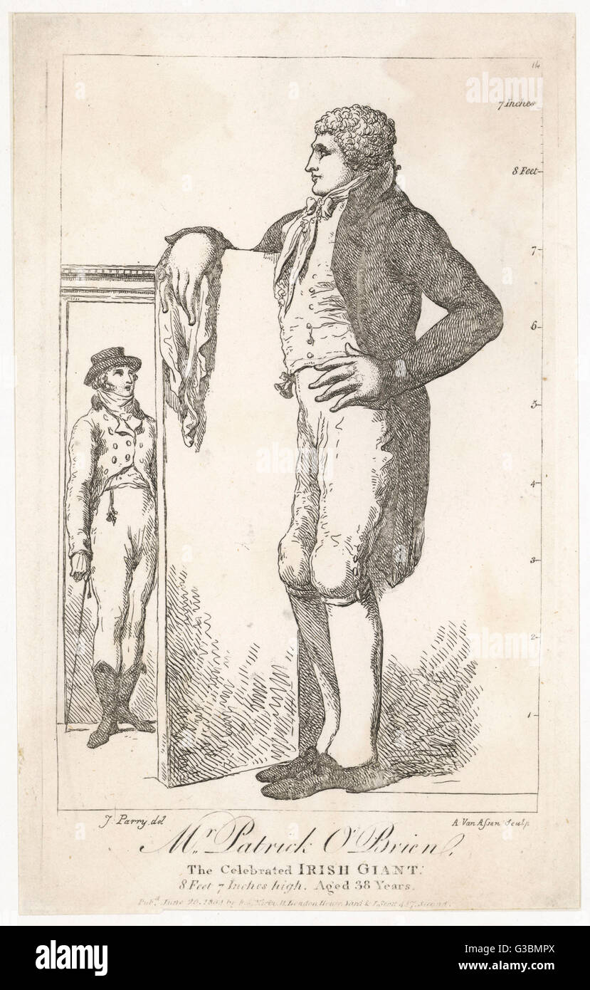 The celebrated Irish Giant Patrick Cotter O'Brien. Aged 38 years, 8 ...