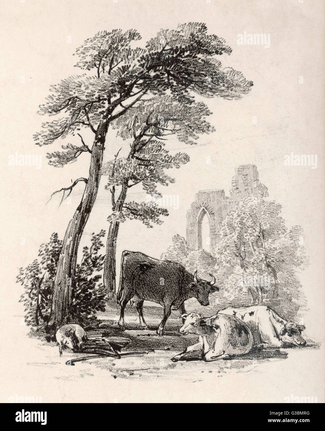 Premonstratensian bayham abbey hi-res stock photography and images - Alamy