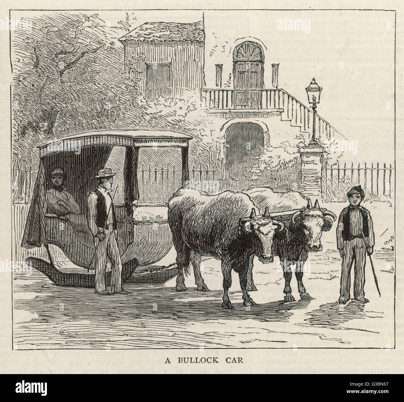 A BULLOCK CAR Stock Photo - Alamy