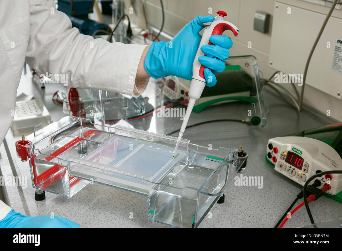 Electrophoresis system hi-res stock photography and images - Alamy