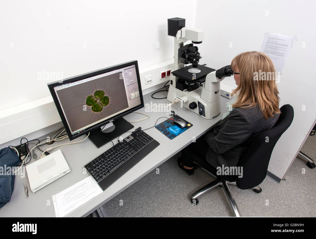 Biologist hi-res stock photography and images - Alamy
