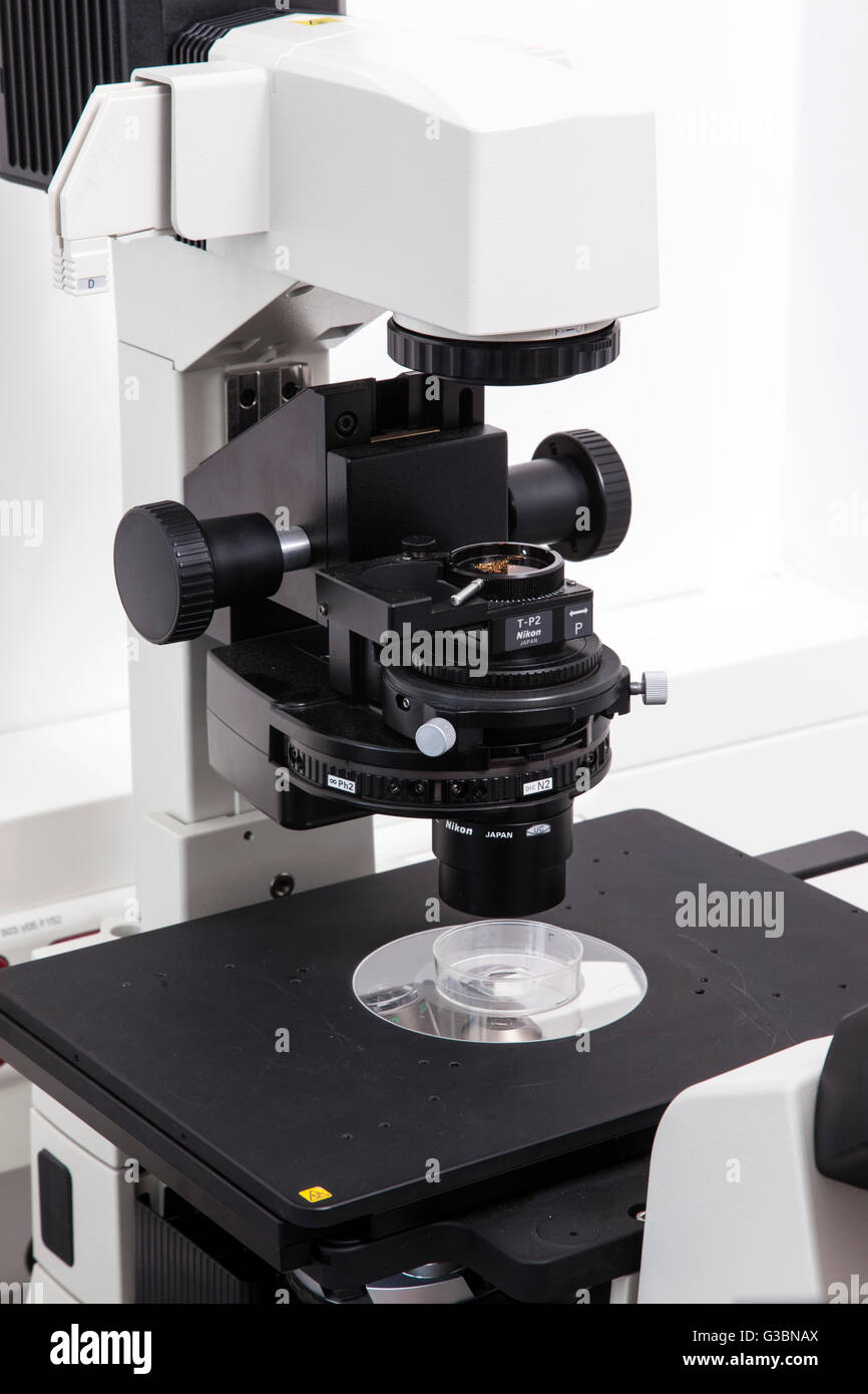 Inverted microscope hi-res stock photography and images - Alamy