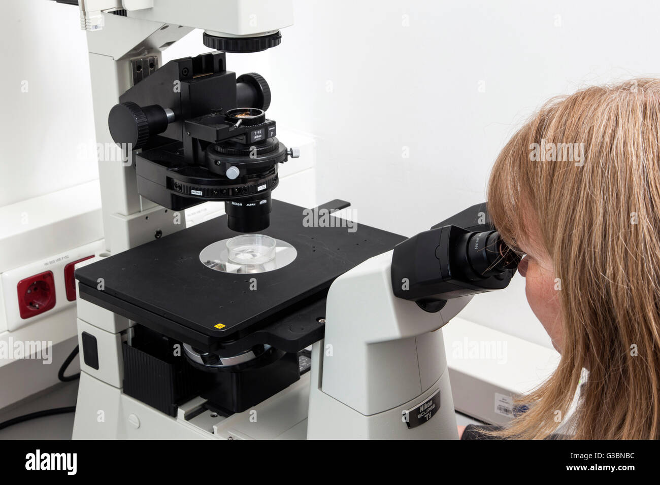 The evolution of curriculum hi-res stock photography and images - Alamy