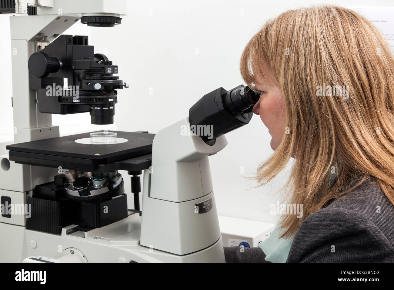 Inverted microscope hi-res stock photography and images - Alamy