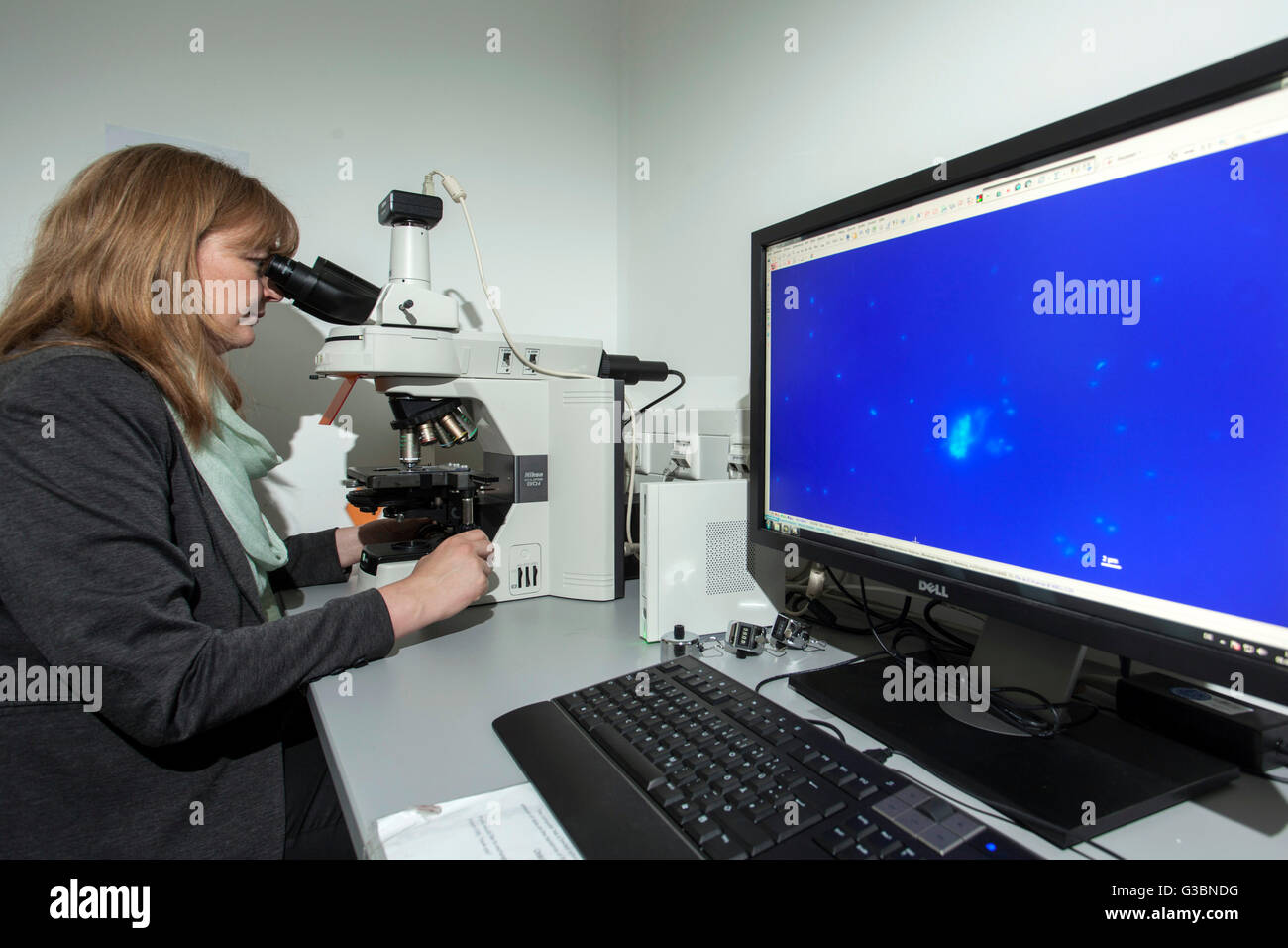 Fluorescence microscope hi-res stock photography and images - Alamy