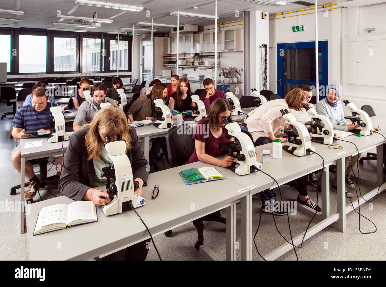 Students in a microscopy course at the university DUE Stock Photo - Alamy