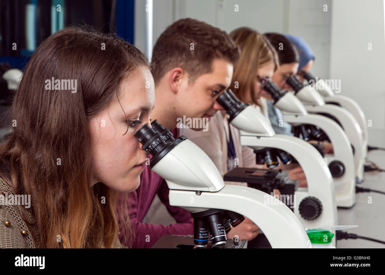 Students in a microscopy course at the university DUE Stock Photo - Alamy