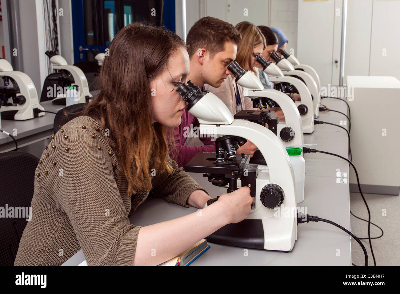 Students in a microscopy course at the university DUE Stock Photo - Alamy