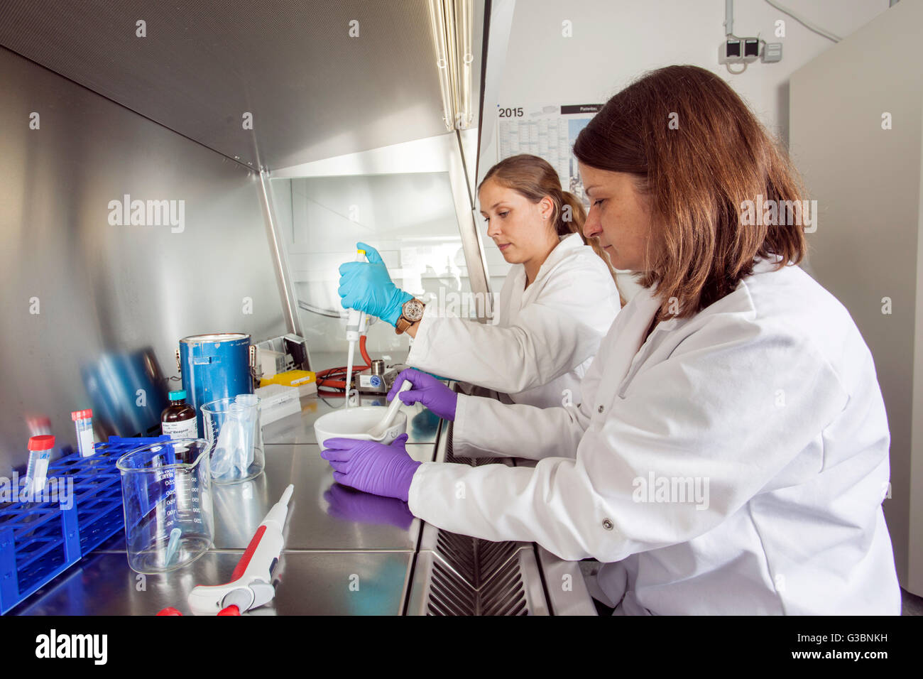 RNA isolation in a genetic laboratory Stock Photo - Alamy