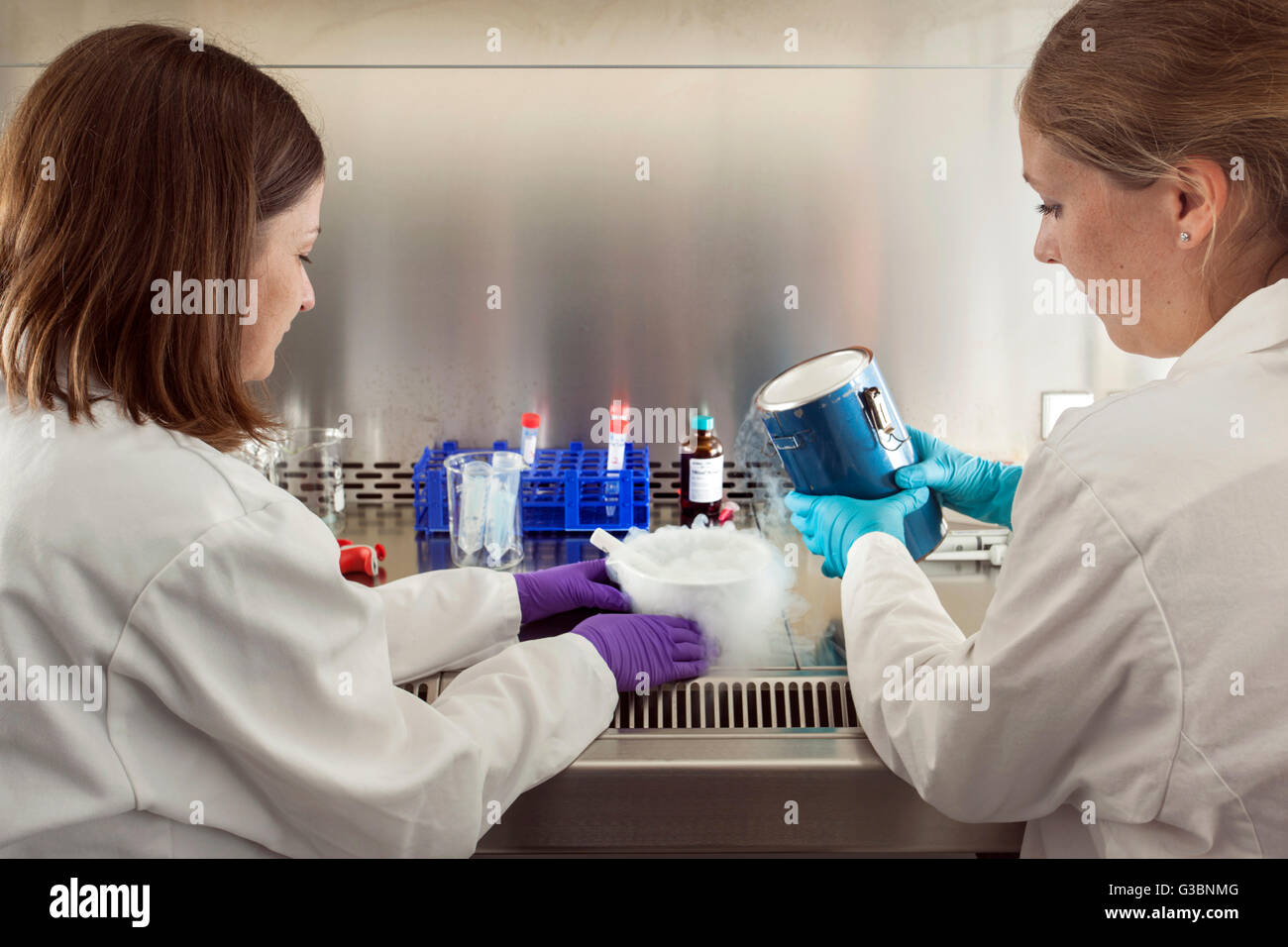 RNA isolation in a genetic laboratory Stock Photo - Alamy