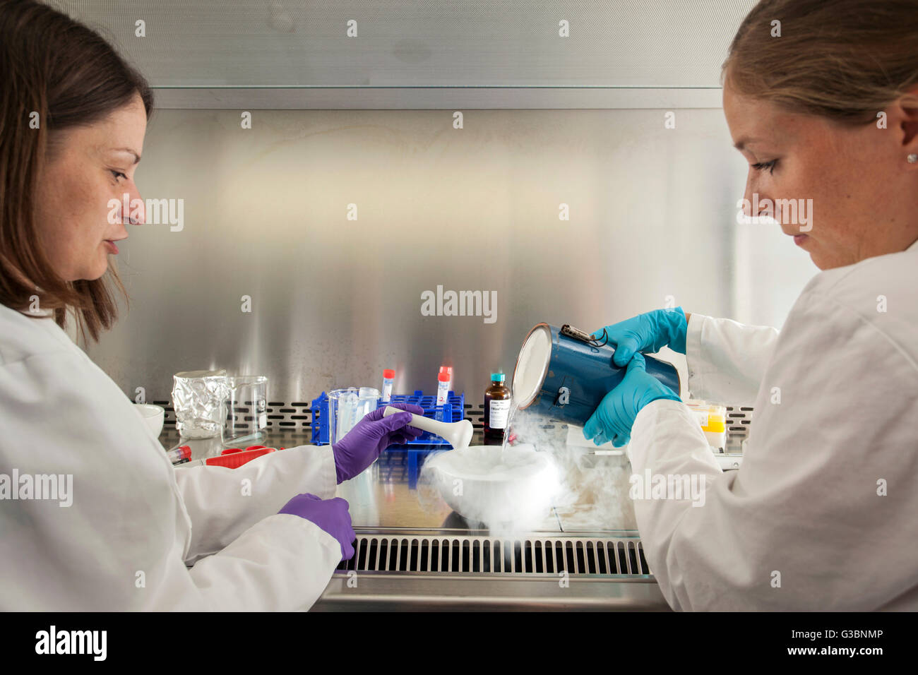 RNA isolation in a genetic laboratory Stock Photo - Alamy