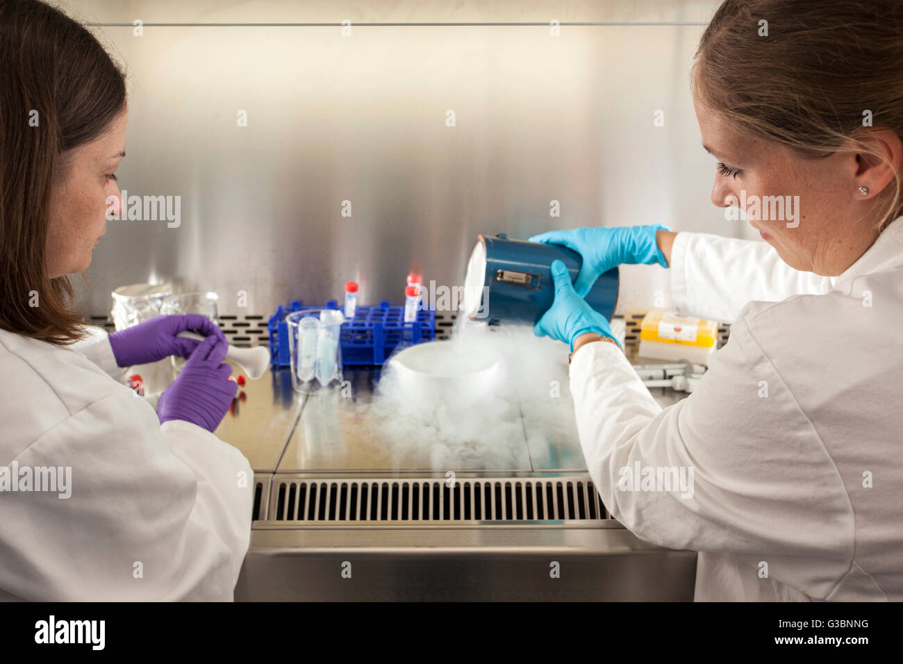 RNA isolation in a genetic laboratory Stock Photo - Alamy