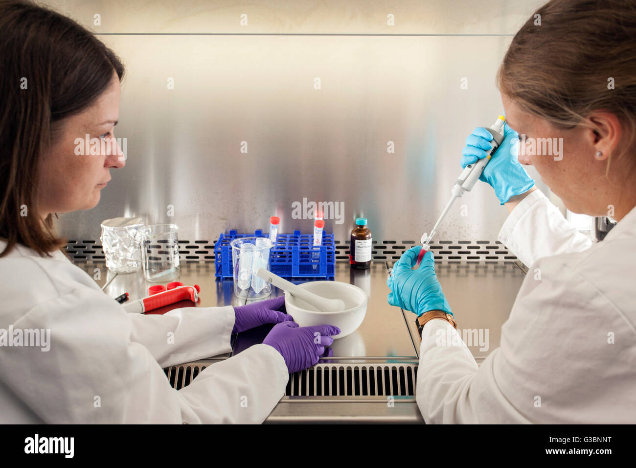 RNA isolation in a genetic laboratory Stock Photo - Alamy