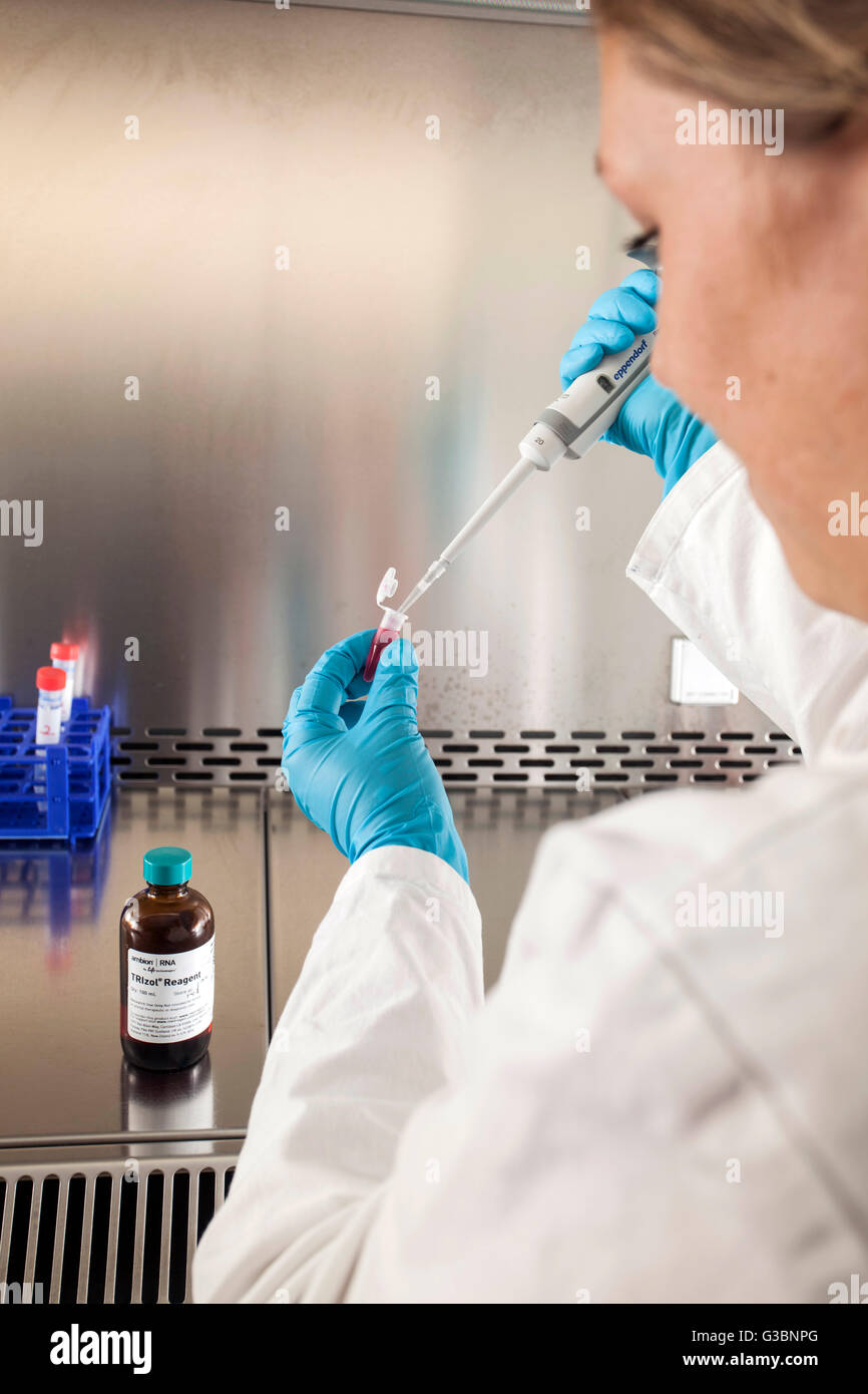 Genetic isolation hi-res stock photography and images - Alamy