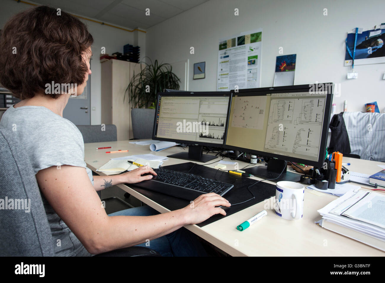 Evolution of computer hi-res stock photography and images - Alamy