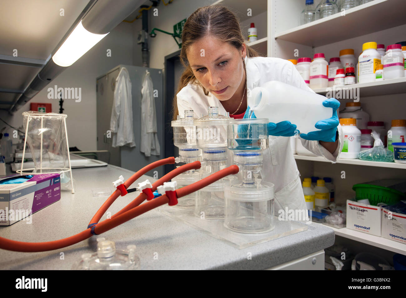 Biologist at a mobile filtration plant in laboratory Stock Photo - Alamy