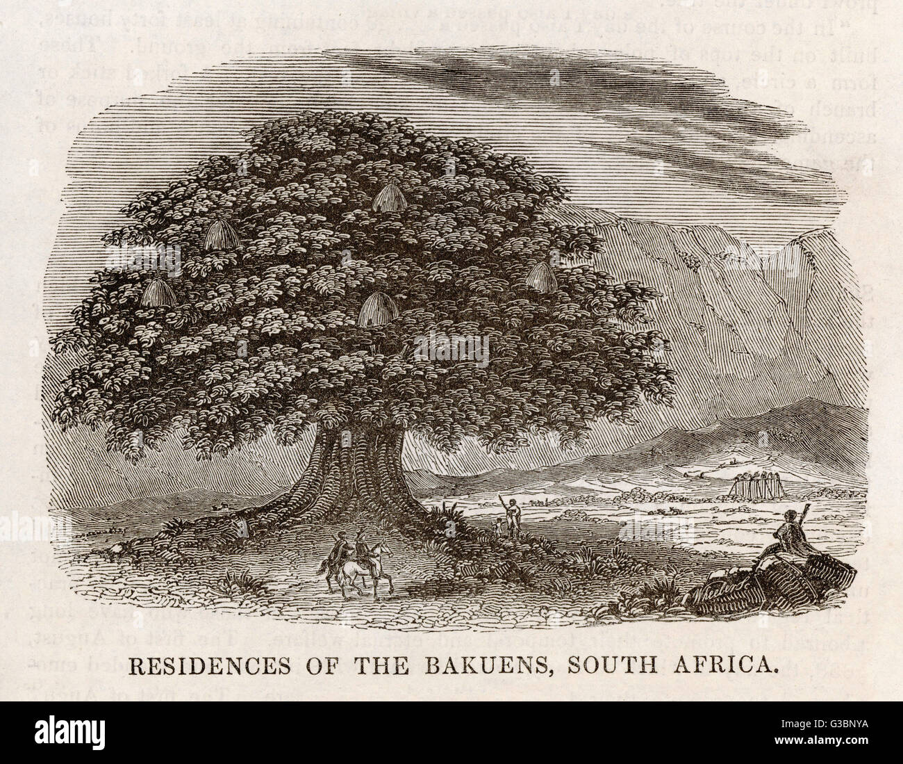 Treehouses hi-res stock photography and images - Alamy