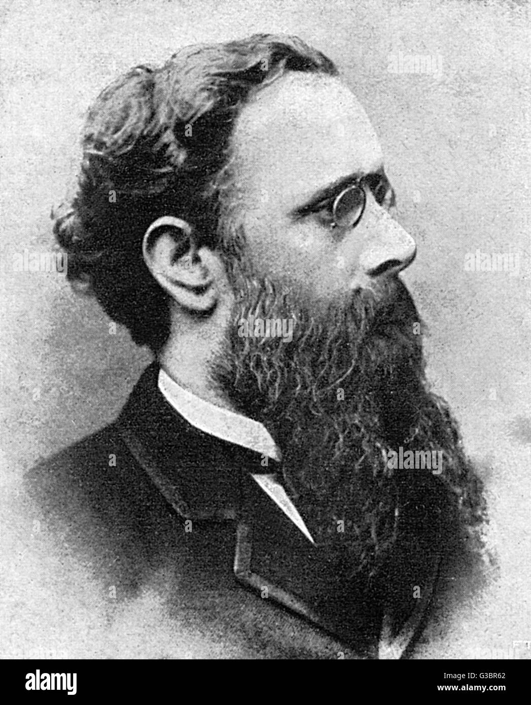 Torelliviollier hi-res stock photography and images - Alamy