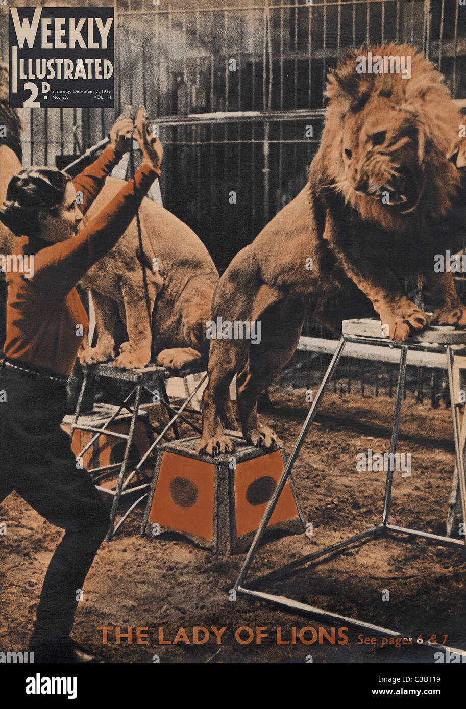 Female lion tamer at work Stock Photo - Alamy