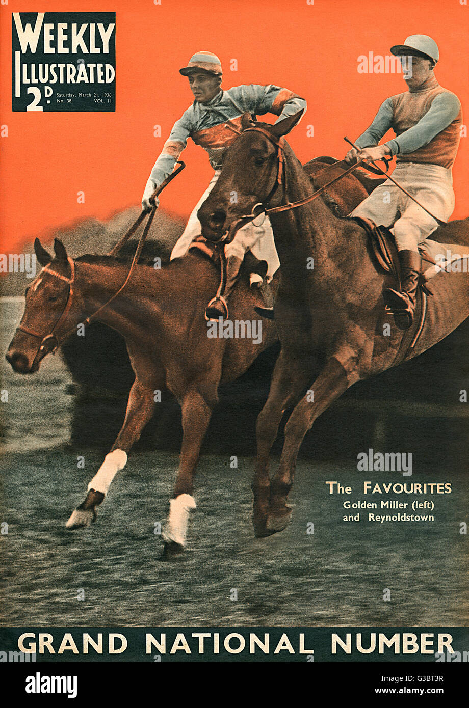 Grand National favourites, Golden Miller and Reynoldstown Stock Photo ...
