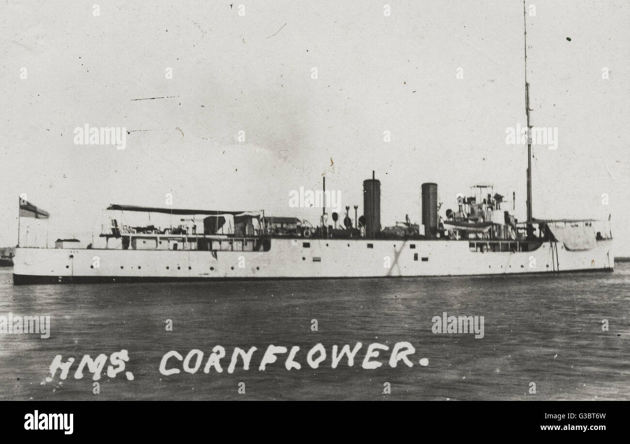 HMS Cornflower, British minesweeping sloop Stock Photo - Alamy
