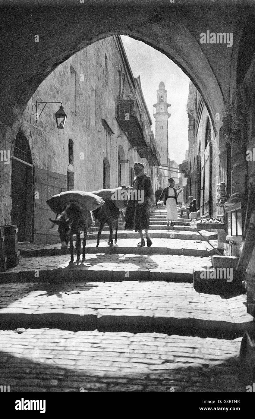 For donkeys Black and White Stock Photos & Images - Alamy