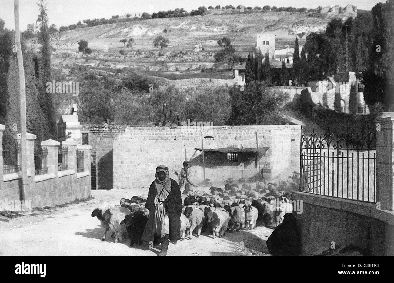 Shepherd of jerusalem hi-res stock photography and images - Alamy