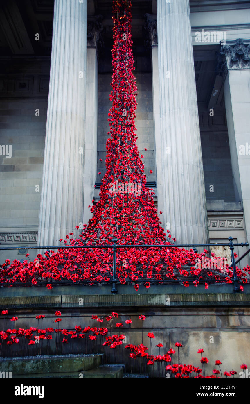 Remembrance Poppies, ceramic work of art by Paul Cummins and Tom Piper ...