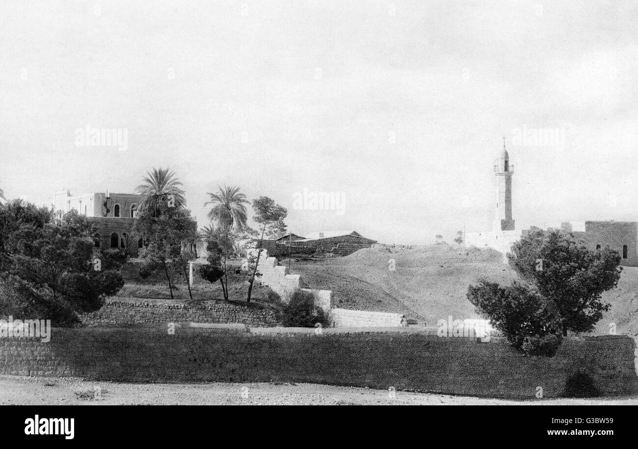 City wall trees Black and White Stock Photos & Images - Alamy