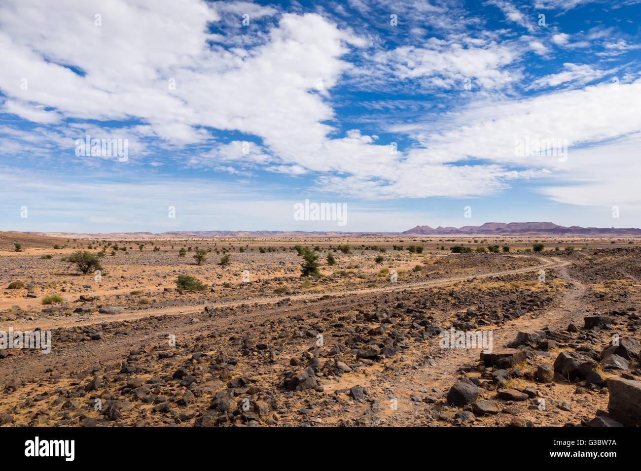 stones in Sahara desert Stock Photo - Alamy