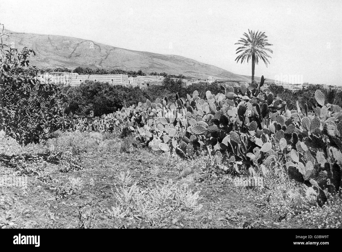 Shunam hi-res stock photography and images - Alamy