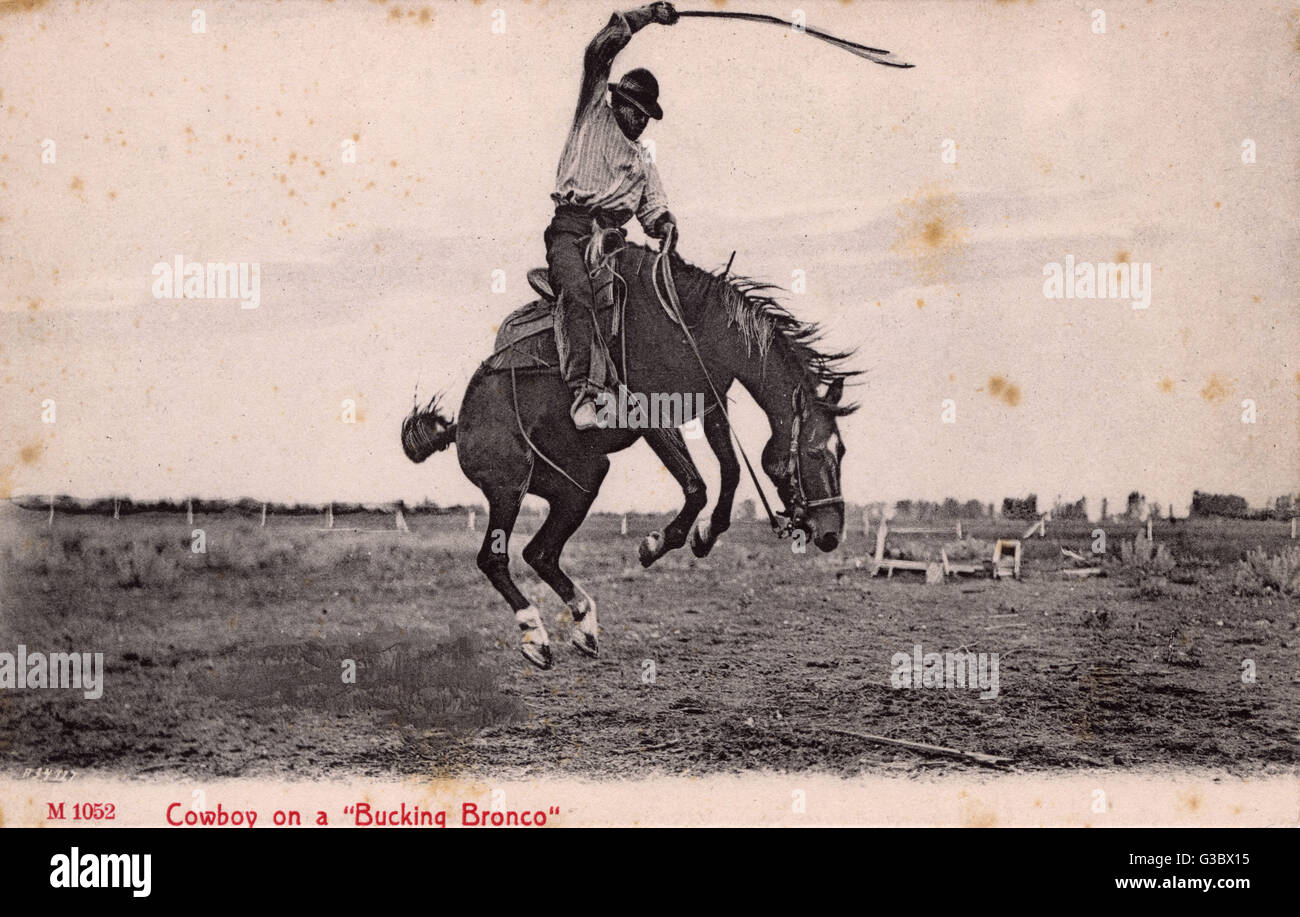 Cowboy on a 'Bucking Bronco' Stock Photo - Alamy