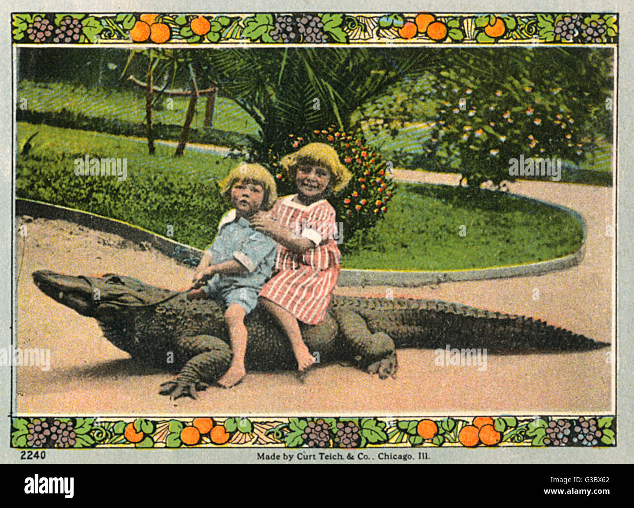 California Alligator Farm High Resolution Stock Photography and Images ...