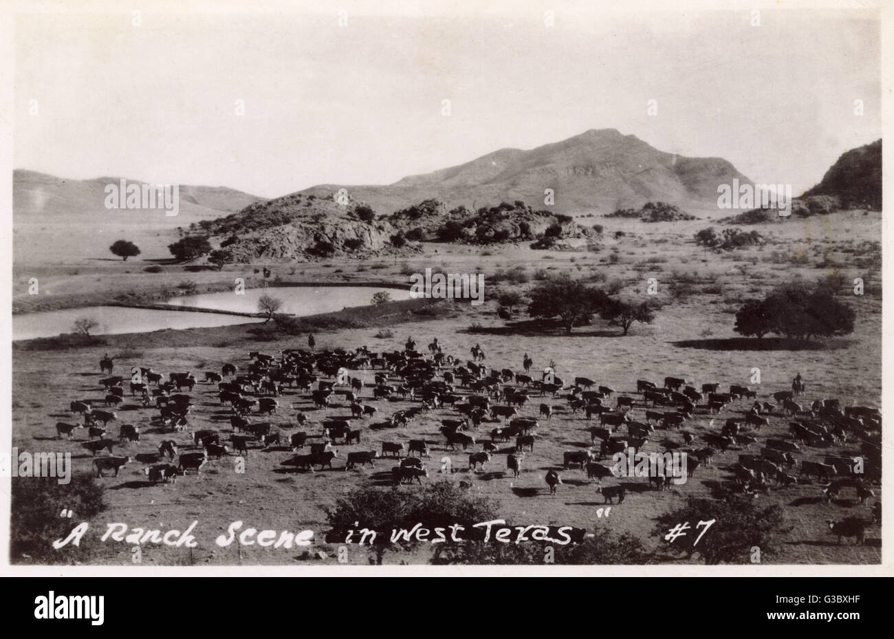 Ranch scene in West Texas, USA Stock Photo - Alamy