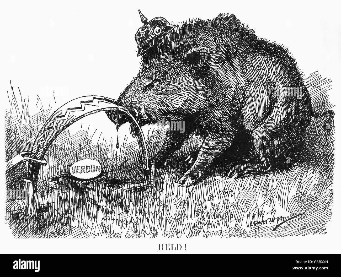 Man boar hi-res stock photography and images - Alamy