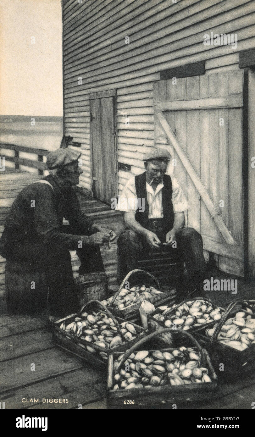 Clam Diggers sorting and grading their pickings, Boston, USA Stock ...
