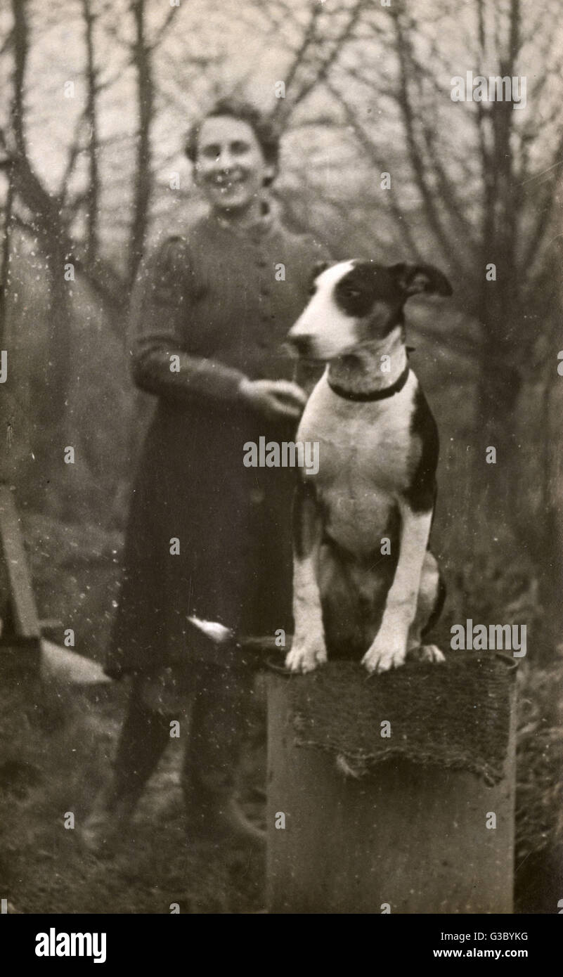 Woman bull terrier in hi-res stock photography and images - Alamy
