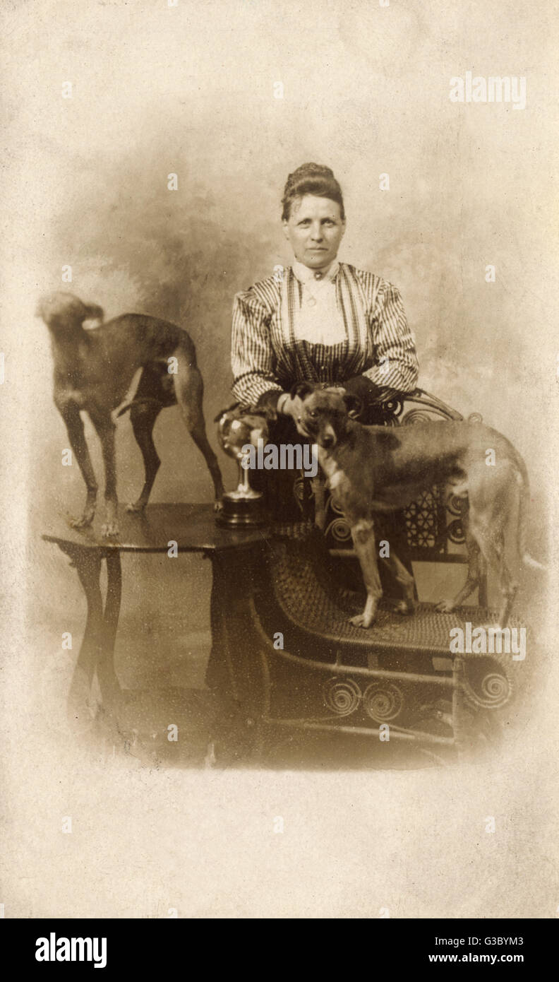 Woman with two greyhounds Stock Photo - Alamy