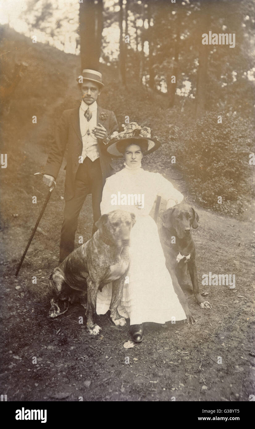 Couple with two Pointers Stock Photo - Alamy Couple with two Pointers Stock Photo - Alamy