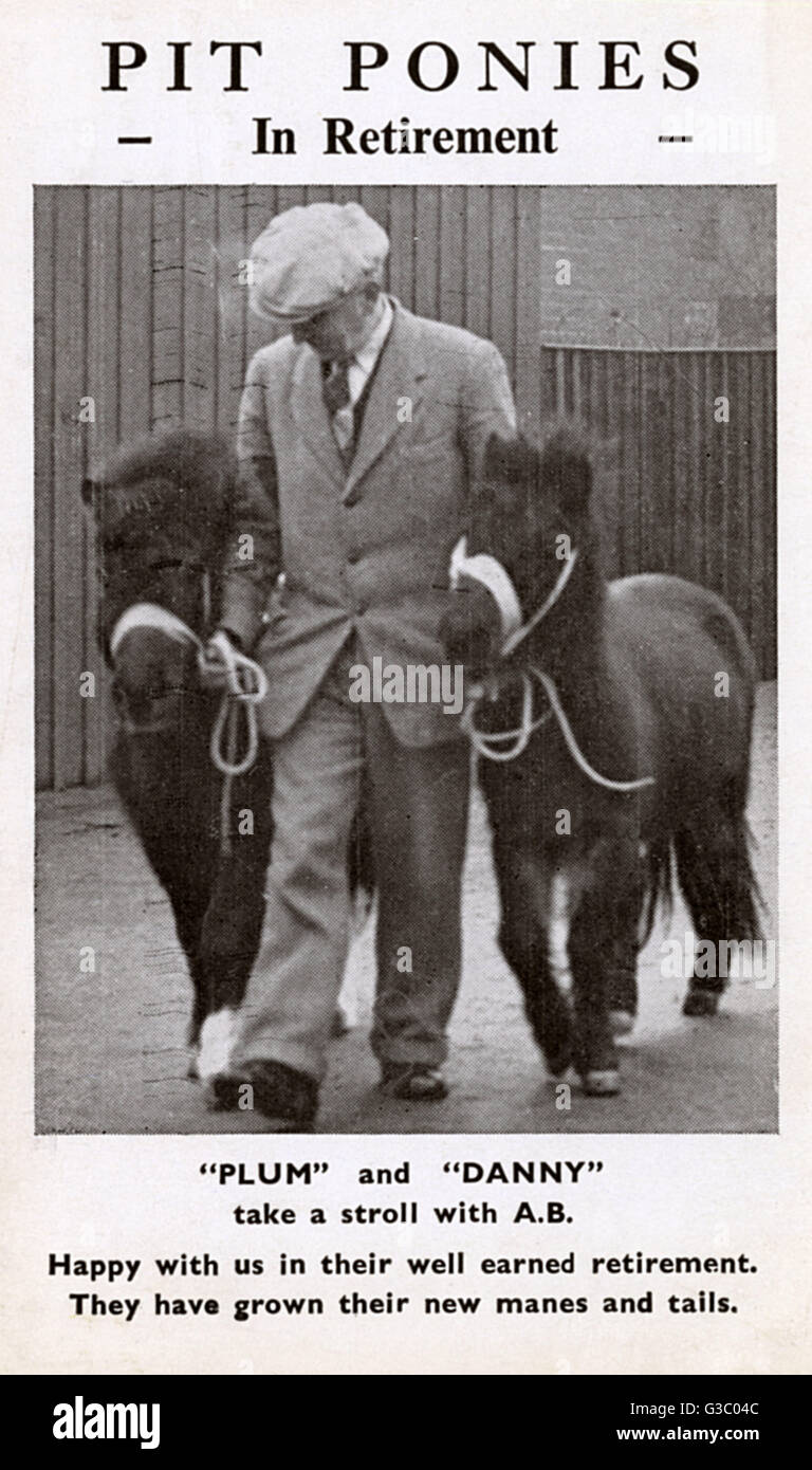 Danny alfred hi-res stock photography and images - Alamy