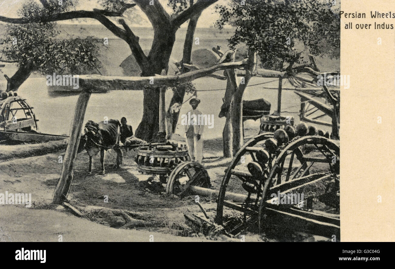 Persian Waterwheel on the Indus, Pakistan Stock Photo - Alamy