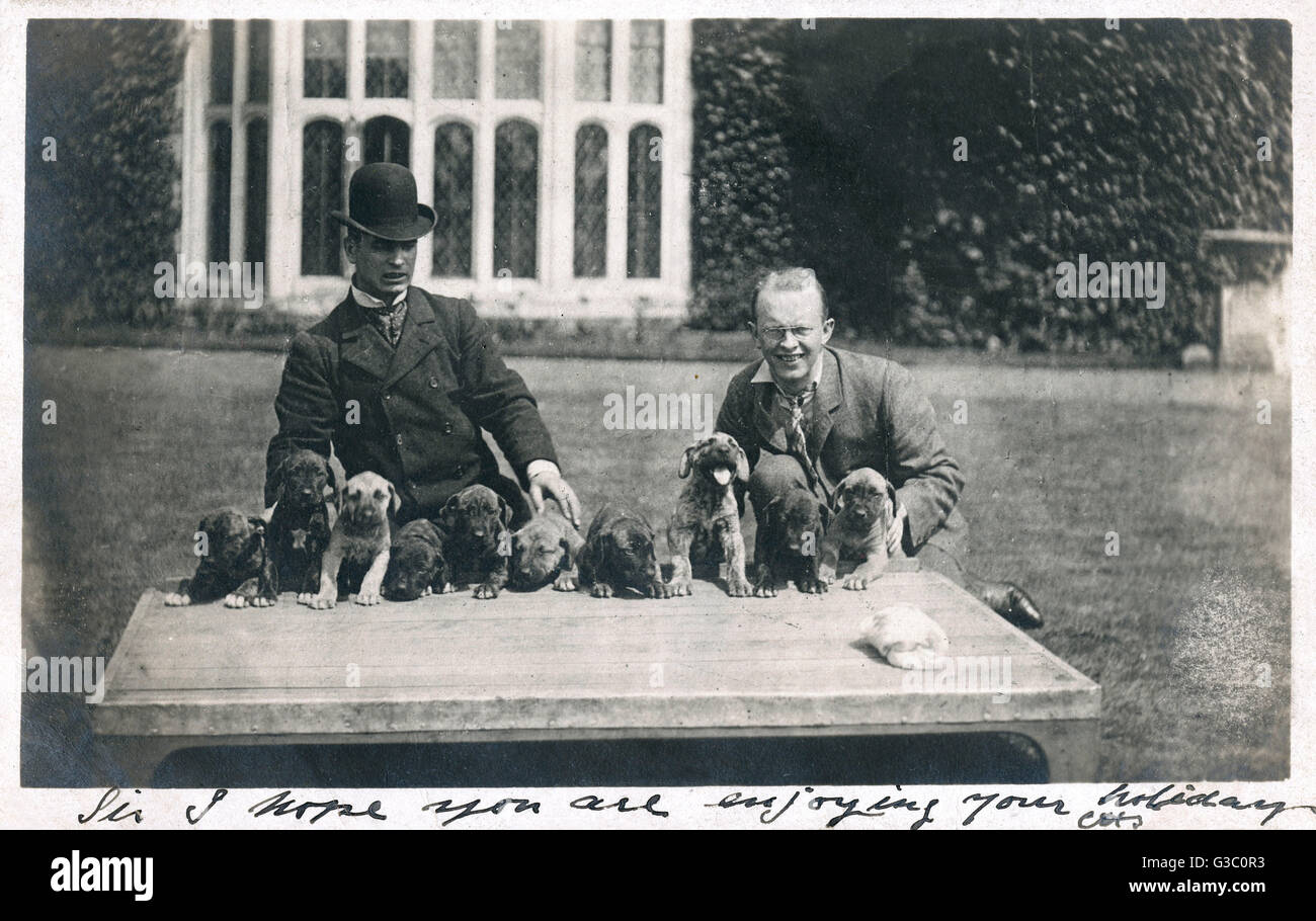 Two men with ten puppies in a garden Stock Photo - Alamy