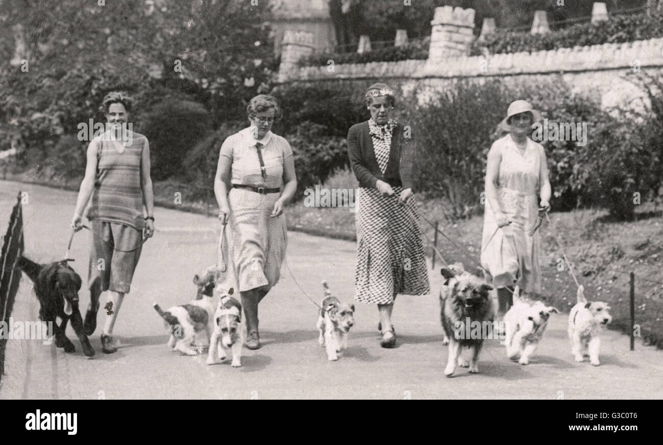 Woman walking four dogs hi-res stock photography and images - Alamy