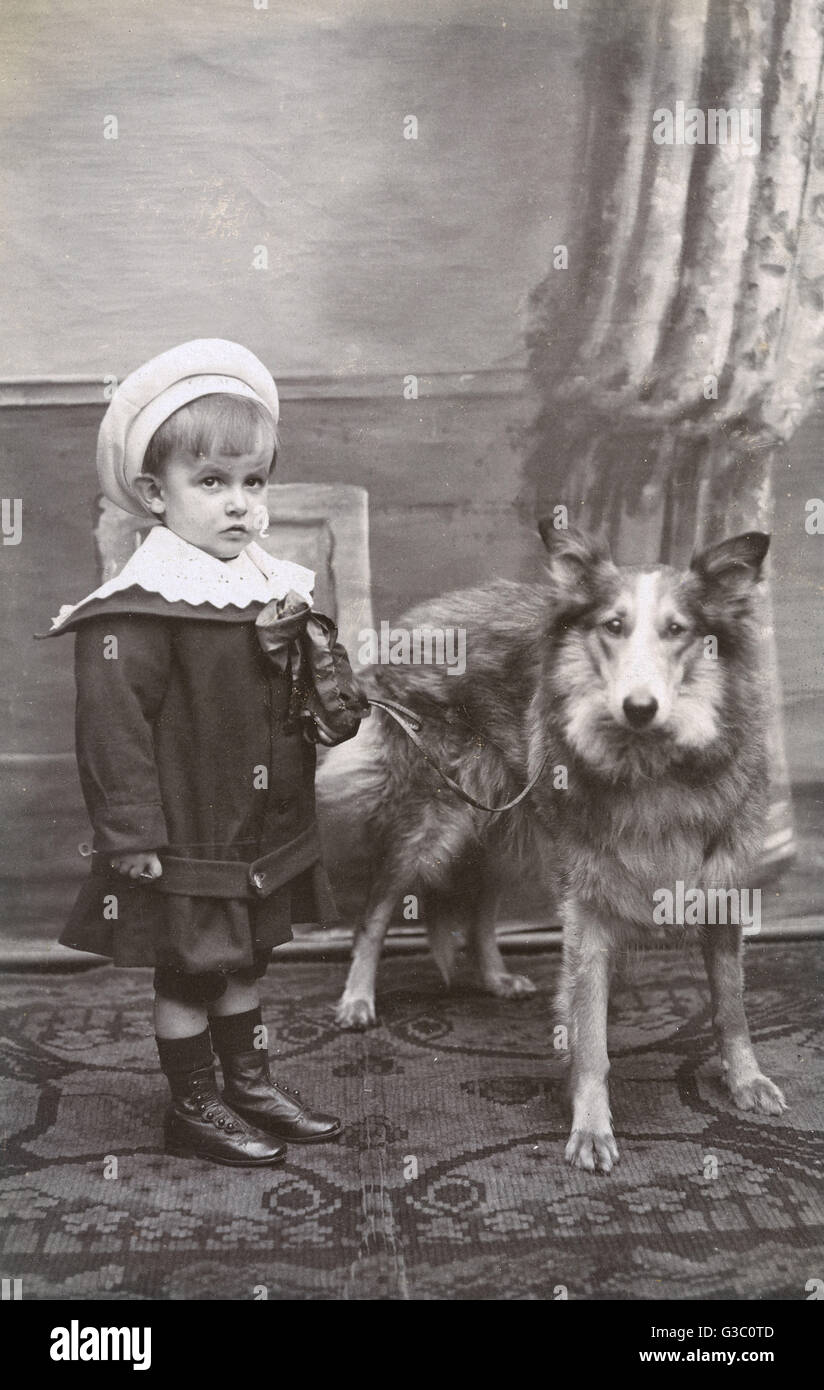 Studio portrait, little boy with a dog Stock Photo - Alamy