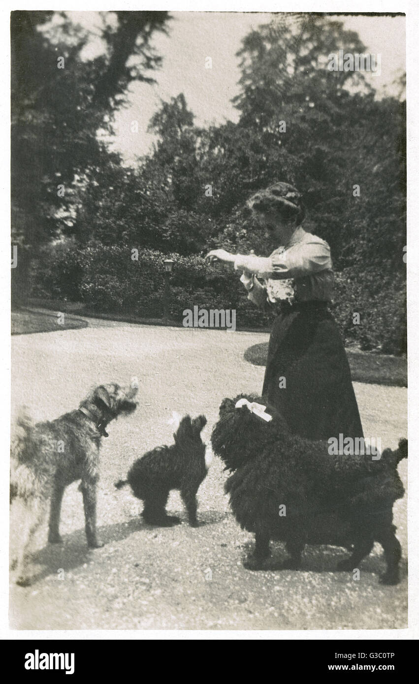 Woman with three dogs in a garden Stock Photo - Alamy