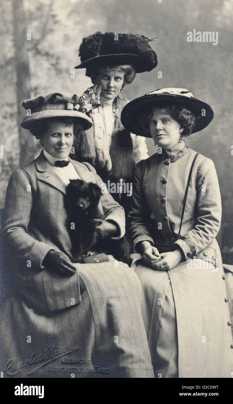 Black family with dog hi-res stock photography and images - Alamy