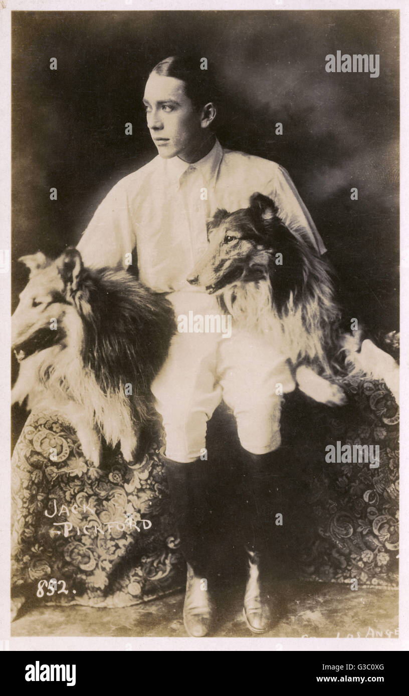 Jack Pickford, film actor, with dogs Stock Photo - Alamy