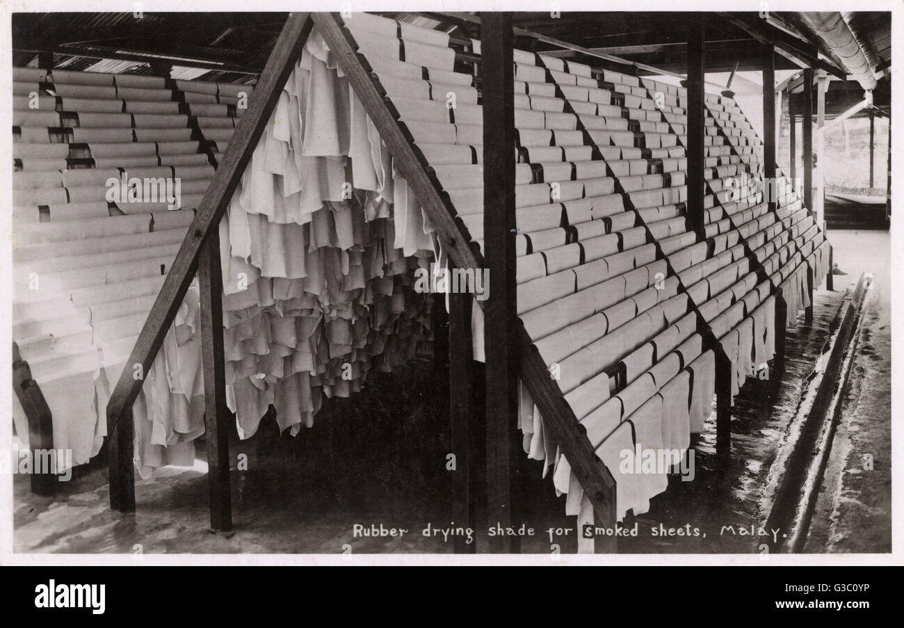 Sheets of Rubber drying on racks - Malaysia Stock Photo - Alamy